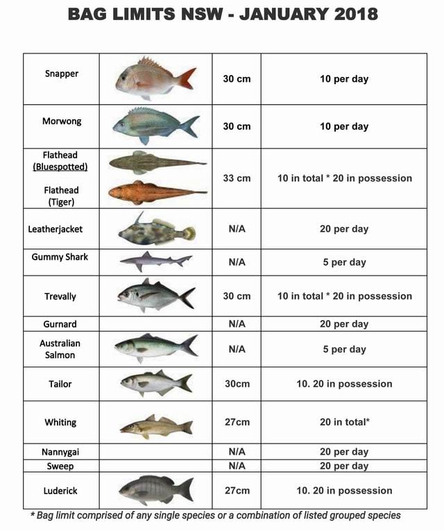 Annual Gala Weekend | Merimbula Big Game & Lakes Angling Club Inc.