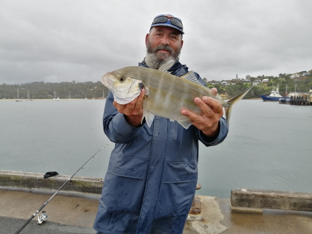 Fishing Report | Merimbula Big Game & Lakes Angling Club Inc.
